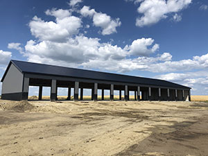 Innovative Cattle Shed Designs | Frueh Construction